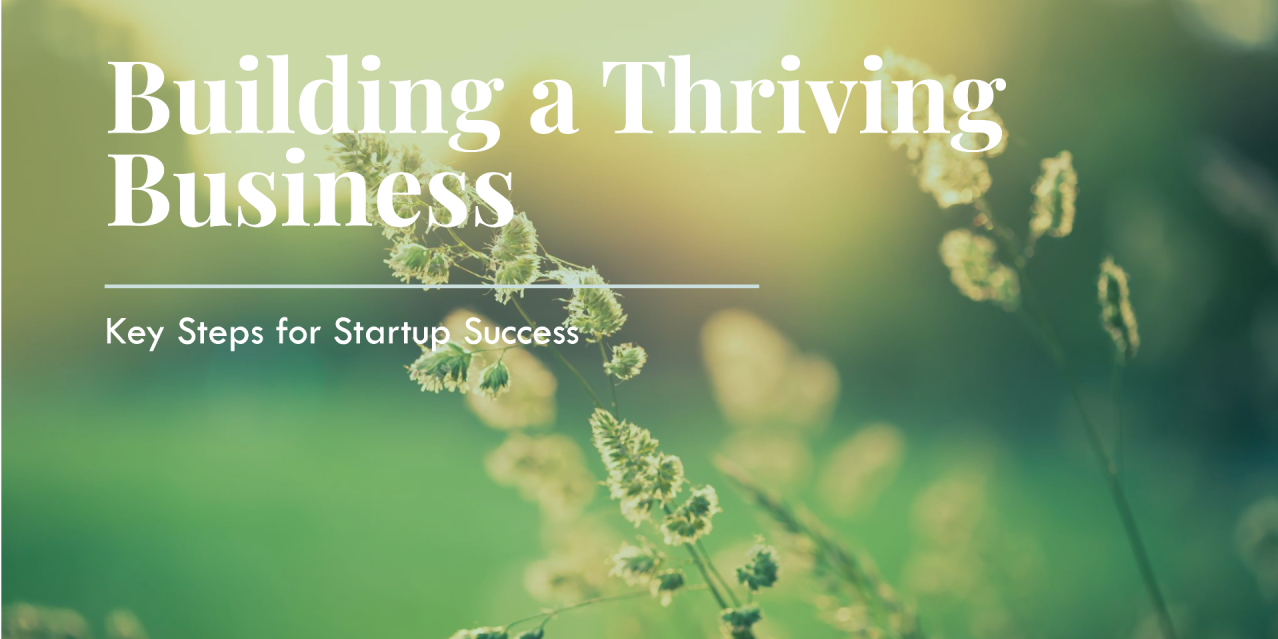 Startup Success Guideline: Key Steps for Building a Thriving Business ...